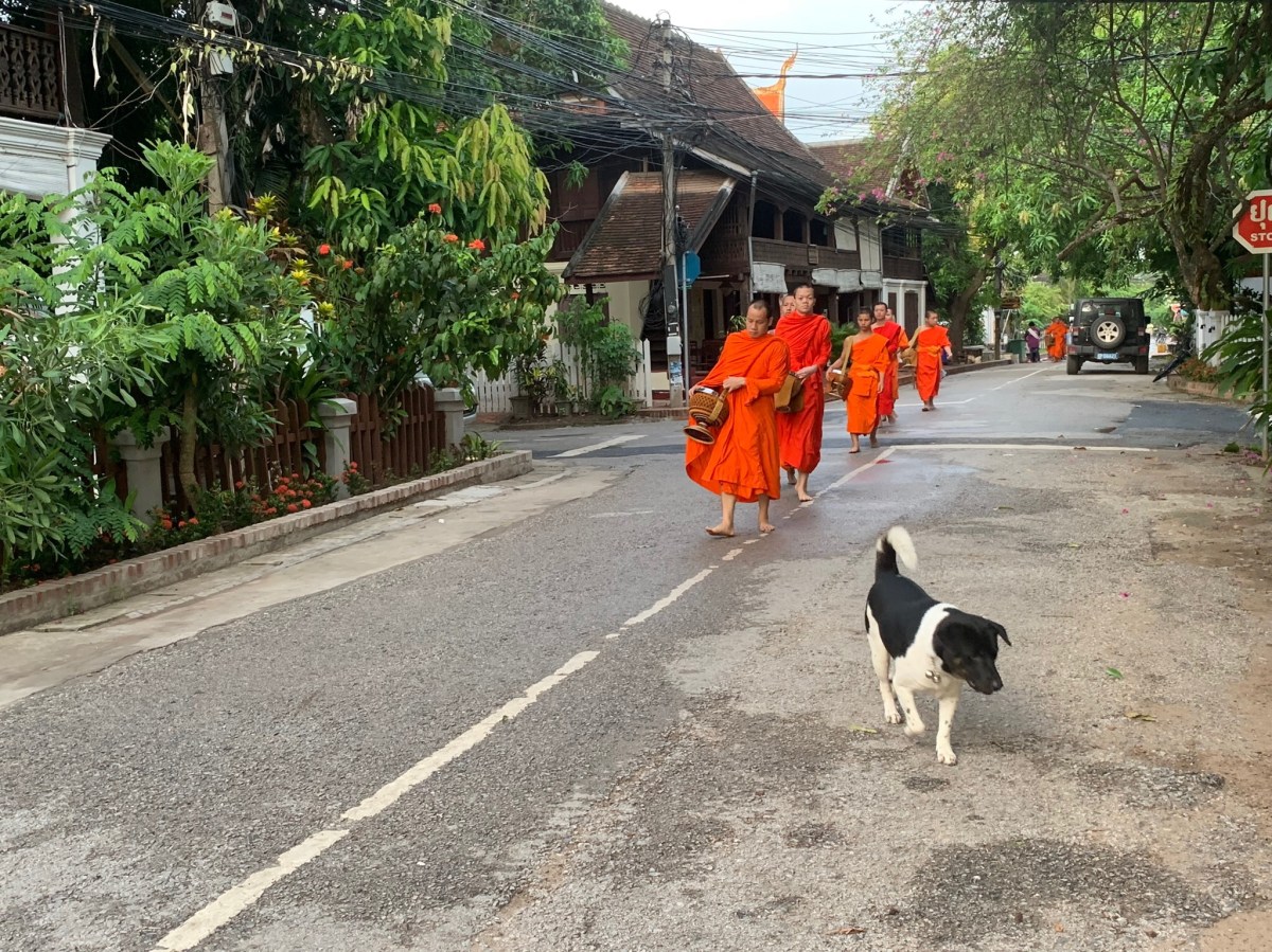 Luang Prabang – Laos – lookingforcoconuts